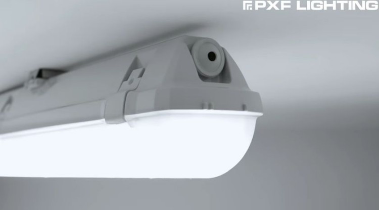 PXF LIGHTING - FIBRA LED