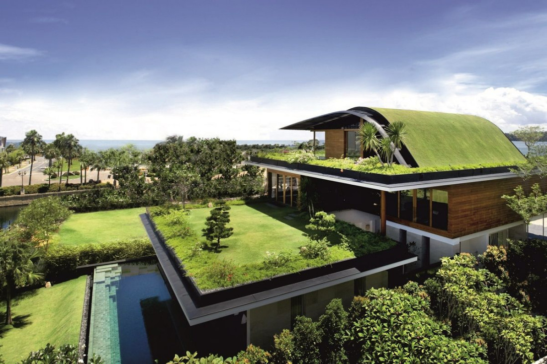 Zielony dach - zaprojektuj go razem z ekspertami! | Budujemy Dom