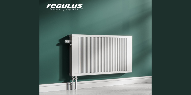 Sklep internetowy REGULUS-system ma już dwa lata!