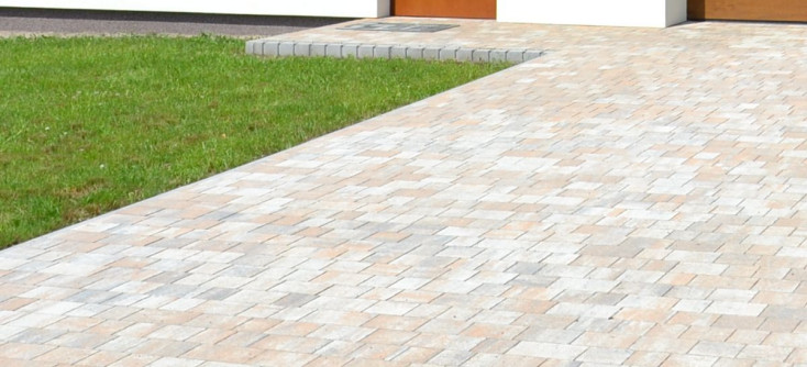 Ogród - porady, filmy | Budujemy Dom